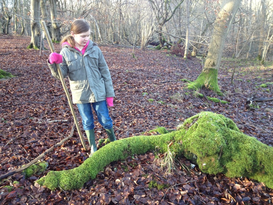 Warburg Nature Reserve wildlife walk, Oxfordshire - A family day out