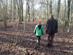 Warburg Nature Reserve wildlife walk, Oxfordshire - A family day out