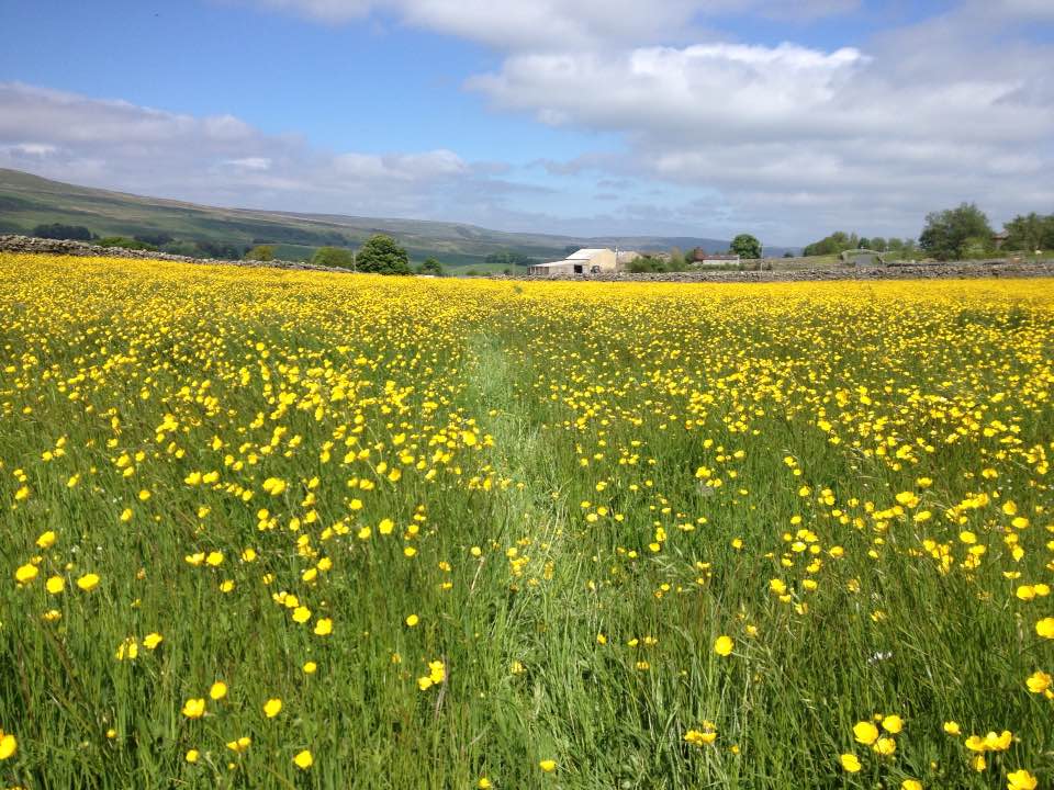 10 things to do in and around Hawes, North Yorkshire - A family day out